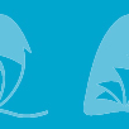 Circulation Policy | St. Louis Public Library